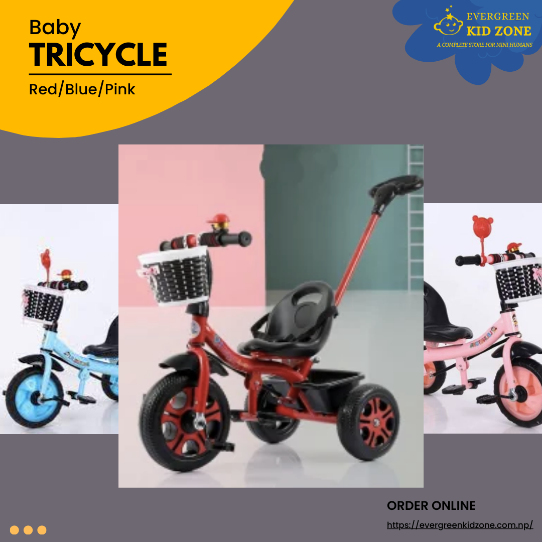 Multifunctional Children's Tricycle - Evergreen Kid Zone